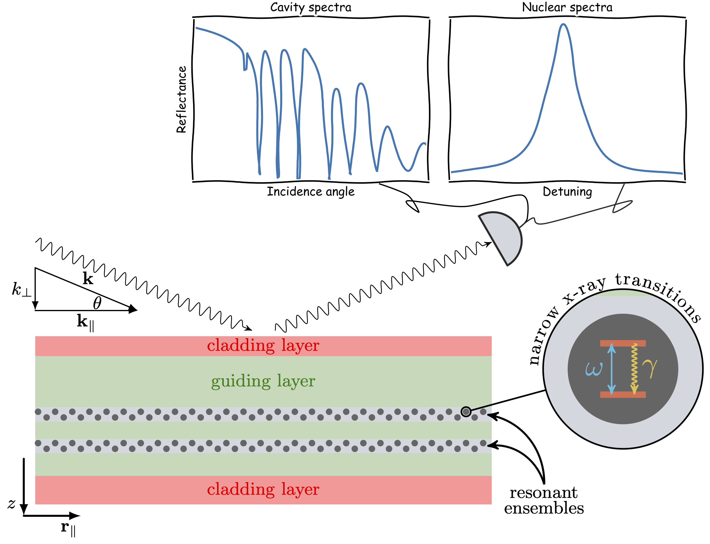 Nuclear quantum optics | Dominik Lentrodt